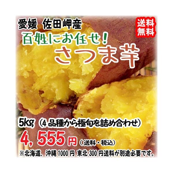 愛媛 佐田岬産 百姓にお任せ！ 【 さつま芋 】 5kg 宇和海の幸問屋 送料無料