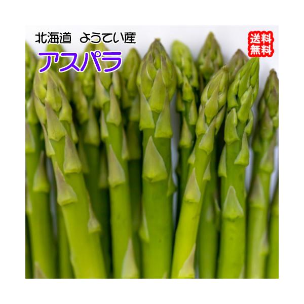 北海道 羊蹄山麓産 【 グリーンアスパラ 】Lサイズ500ｇ×2　Mサイズ500g×1＝1.5kg