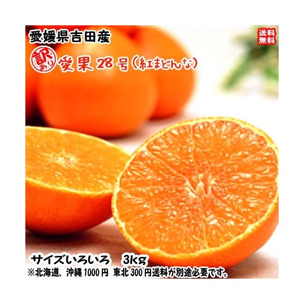 【発売日：2023年12月01日】愛媛 吉田産 【 愛果28号 （紅まどんな）】 樹になるゼリーな柑橘 (訳あり3kg) 宇和海の幸問屋 送料無料愛媛で生まれた「愛果28号」は正式な品種名を「愛媛果試第28号」といいます。一般的に呼ばれてい...
