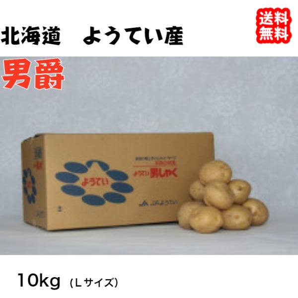 【発売日：2022年09月10日】北海道 ようてい産 ( じゃがいも 男爵 ）10kg 農地直送 収穫量日本一 宇和海の幸問屋