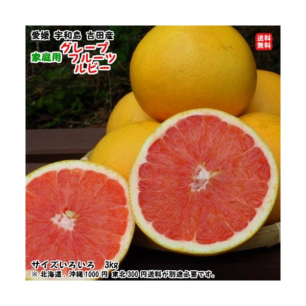 愛媛 宇和島 吉田産 家庭用 【 グレープフルーツ（ルビー） 】 3kg 宇和海の幸問屋 送料無料◆グレープフルーツ（ルビー）とは？普通のみかんと比べると大きめで甘さや酸味の他に、ほろ苦さがあるのが特徴です。「ルビー」はいわゆる「ピンクグレ...