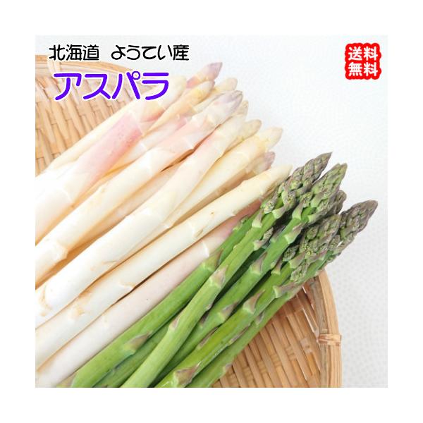 北海道 羊蹄山麓産 【 アスパラ（グリーン700g＆ホワイト300ｇ） 】