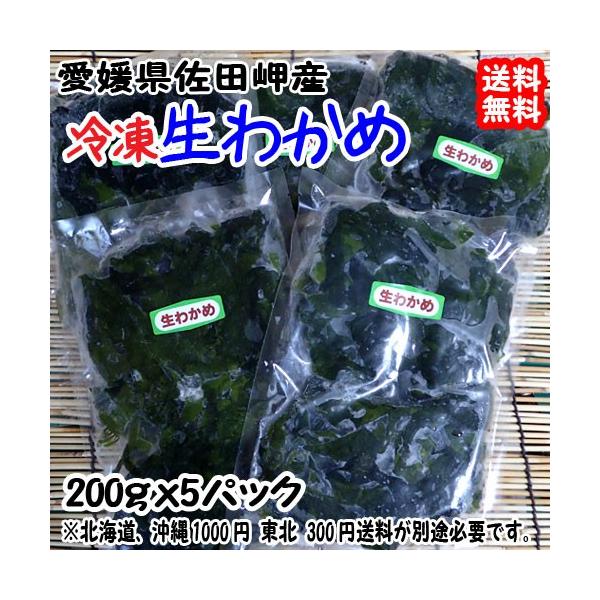 品名：愛媛県 佐田岬産 冷凍 生わかめ 200ｇｘ5 宇和海の幸問屋特徴：わかめにはビタミン・ミネラル・カルシウム・食物繊維など美容と健康に役立つ栄養素がたっぷり含まれています。毎日の食生活のお供に！ 200ｇ小分け冷凍パックでお届けいたし...