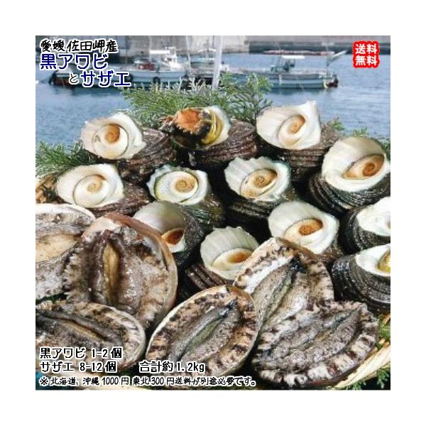 天然物の為、水揚げ次第のお届けとなります。