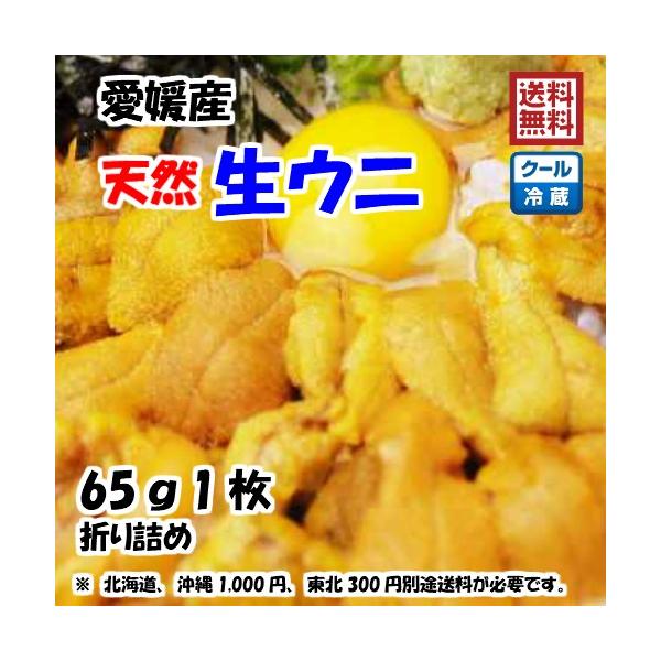 愛媛産 天然 生 ウニ （1枚は約65ｇ　約10個のウニを使用）愛媛県宇和海/佐田岬産※天然物のため水揚げが無い場合は、怱那諸島産になる場合もございます。