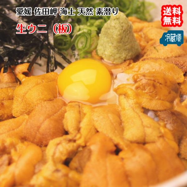 夏場が旬の天然生ウニです。季節限定の極旬ウニをお届します。