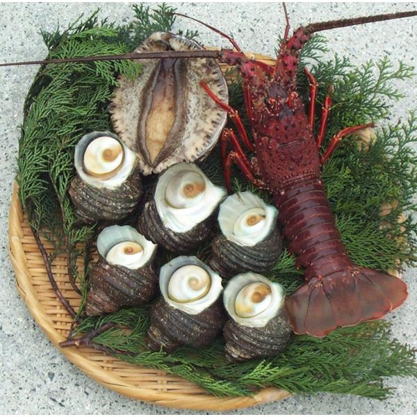 天然物の為、水揚げ次第のお届けとなります。