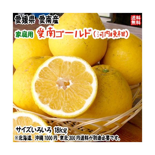 愛媛 愛南町産 【 河内晩柑 （ 愛南ゴールド ） 】 （ 家庭用 18kg ） 爽やかジューシーな夏の柑橘 農地直送 送料無料 宇和海の幸問屋