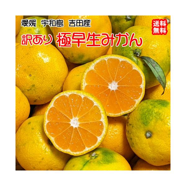 【発売日：2024年01月05日】愛媛県産！農地価格！農家から直送！みかんの里自慢のからだに優しい美味しいみかん！