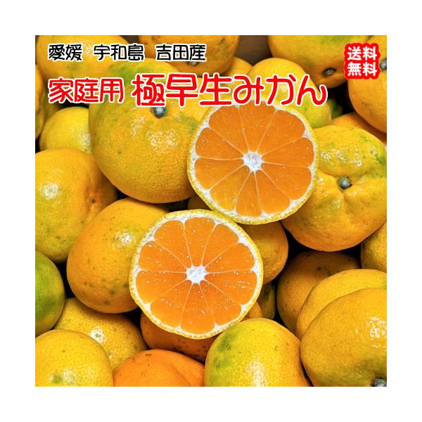 【発売日：2023年01月05日】愛媛県産！農地価格！農家から直送！みかんの里自慢のからだに優しい美味しいみかん！