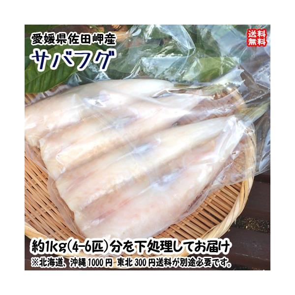 天候に左右される為、水揚げ次第のお届けとなります。