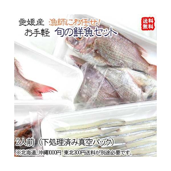 天然物の為、水揚げ次第のお届けとなります。