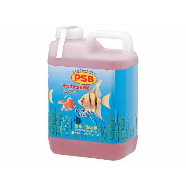 ＭＡＺＰＳＢ2.1Ｌ