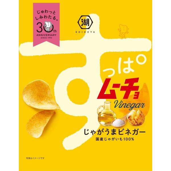 すっぱムーチョチップス じゃがうまビネガー ５５ｇ/ポテチ　スナック