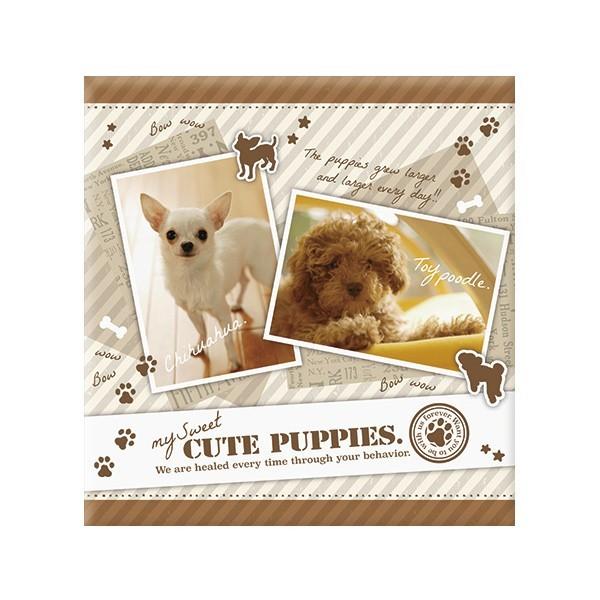 ※こちらの商品はご注文いただいてから発注となる【お取り寄せ商品】です。通常の商品よりもお届けまでにお時間がかかります。通常商品と一緒にお買い上げの場合は、全ての商品が揃ってから発送とさせていただきます。●本体寸法：タテ335×ヨコ325×背...