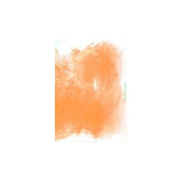 著者名：今村　源、ノマルエディション出版社名：青幻舎発売日：2006年10月商品状態：良い※商品状態詳細は商品説明をご確認ください。