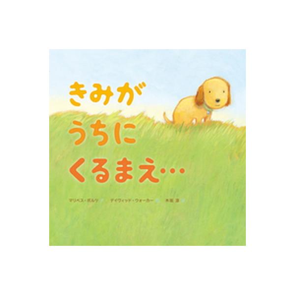 著者名：マリベス・ボルツ、デイヴィッド・ウォーカー出版社名：岩崎書店発売日：2017年04月30日商品状態：非常に良い※商品状態詳細は商品説明をご確認ください。