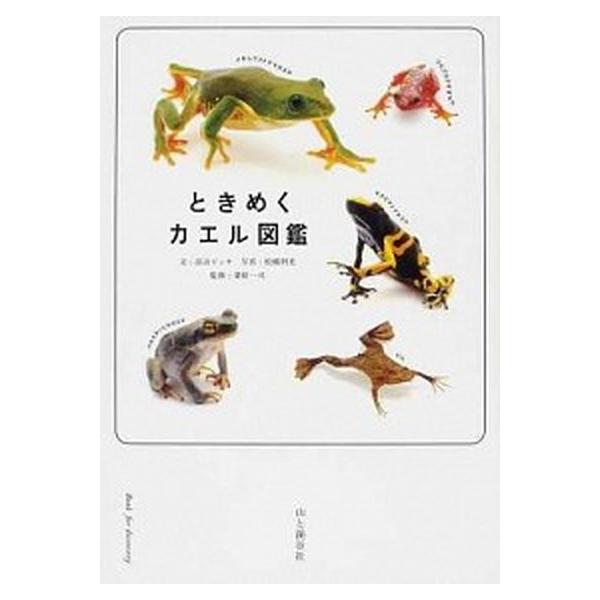著者名：高山ビッキ、松橋利光出版社名：山と渓谷社発売日：2013年07月商品状態：良い※商品状態詳細は商品説明をご確認ください。