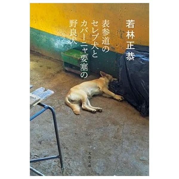 著者名：若林,正恭,1978-出版社名：文藝春秋発売日：2020年10月商品状態：良い※商品状態詳細は商品説明をご確認ください。