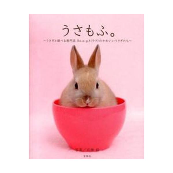 著者名：石橋絵出版社名：宝島社発売日：2013年02月商品状態：良い※商品状態詳細は商品説明をご確認ください。