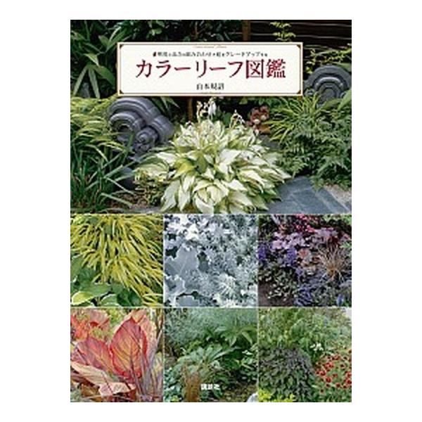 著者名：山本　規詔出版社名：講談社発売日：2017年11月15日商品状態：良い※商品状態詳細は商品説明をご確認ください。