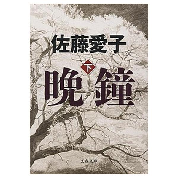 著者名：佐藤愛子（作家）出版社名：文藝春秋発売日：2017年09月10日商品状態：非常に良い※商品状態詳細は商品説明をご確認ください。