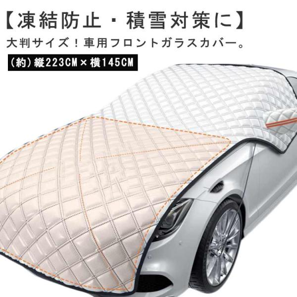 F　(約)縦223cm×横145cm