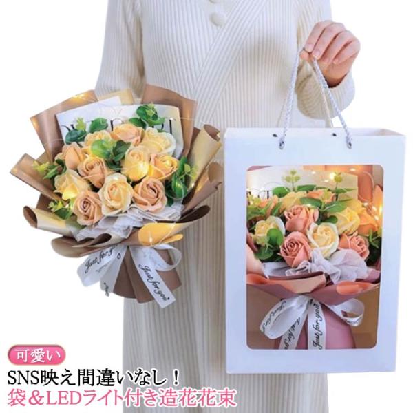 袋とLEDライト付き