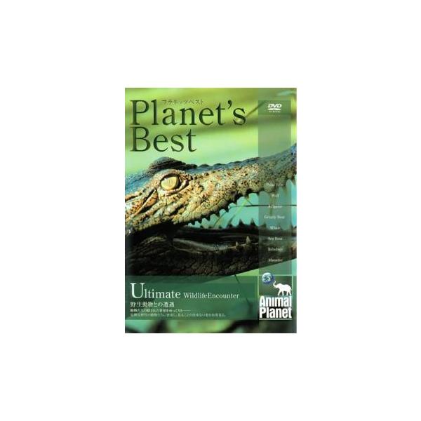 【バーゲン】 (ジャンル) 趣味、実用 動物 (入荷日) 2023-03-08