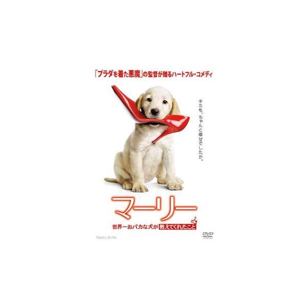 【バーゲン】(監督) デヴィッド・フランケル (出演) オーウェン・ウィルソン(ジョン・グローガン)、ジェニファー・アニストン(ジェニー・グローガン)、エリック・デイン(セバスチャン・タンニー)、アラン・アーキン(アーニー・クライン)、キャ...