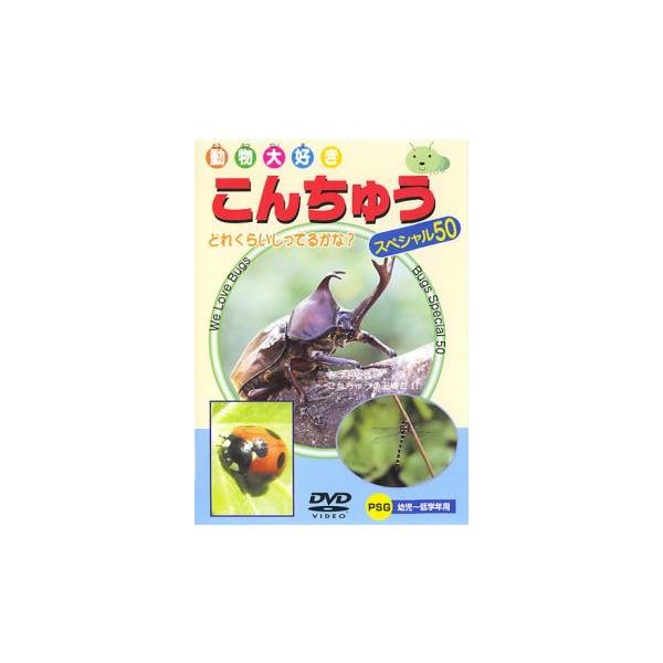 【バーゲン】 (ジャンル) 趣味、実用 カルチャー 子供向け、教育 (入荷日) 2023-09-16