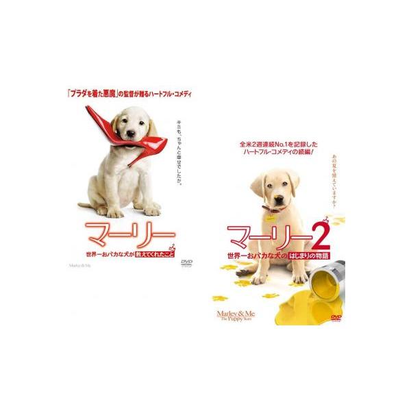 【バーゲン】(監督) デヴィッド・フランケル (出演) オーウェン・ウィルソン(ジョン・グローガン)、ジェニファー・アニストン(ジェニー・グローガン)、エリック・デイン(セバスチャン・タンニー)、アラン・アーキン(アーニー・クライン)、キャ...