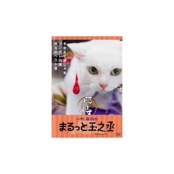 【バーゲン】 (ジャンル) 趣味、実用 動物 (入荷日) 2025-09-12