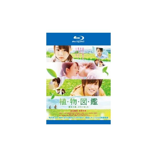 【バーゲン】(監督) 三木康一郎 (出演) 岩田剛典(日下部樹)、高畑充希(河野やさか)、阿部丈二(竹沢陽平)、今井華(野上ユリエ)、谷澤恵里香(玉井千秋)、竹内寿、松原剛志、池田ヒトシ、松山愛里 (ジャンル) 邦画 恋愛 ドラマ (入荷日...