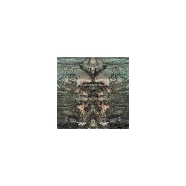 (出演) ＤＩＲ ＥＮ ＧＲＥＹ(ディルアングレイ) (ジャンル) CD、音楽 邦楽 ロック・ポップス (入荷日) 2021-04-28
