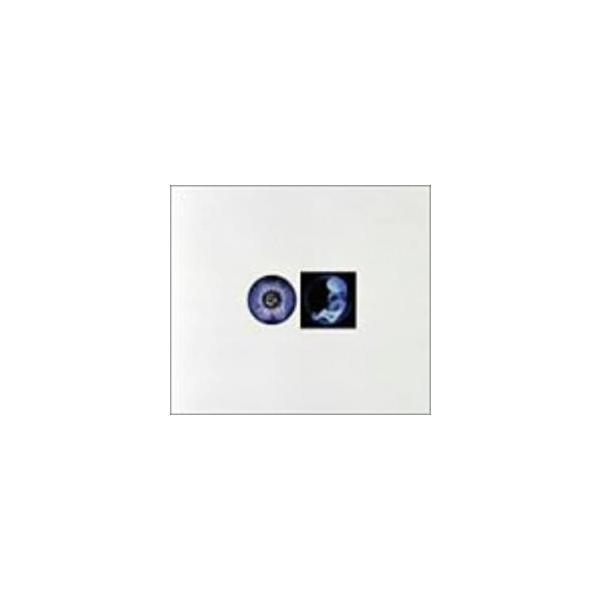 (出演) Ｐｉｅｒｒｏｔ (ジャンル) CD、音楽 邦楽 ロック・ポップス (入荷日) 2021-05-21