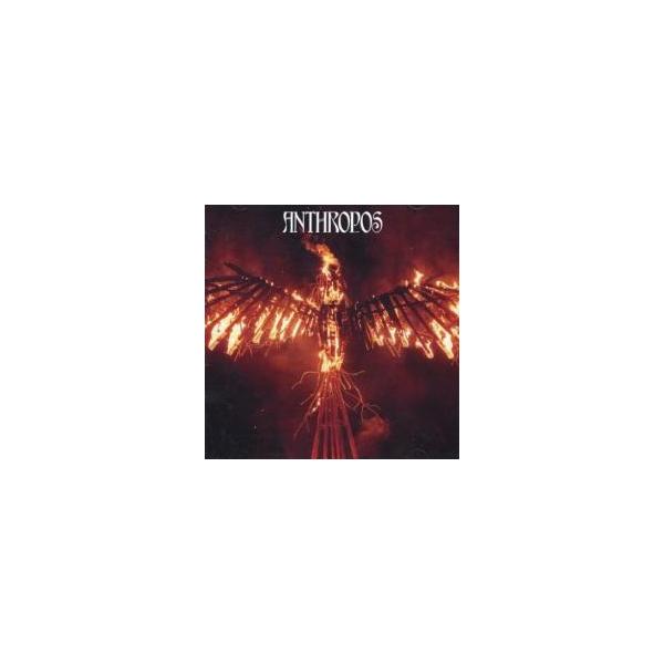 【バーゲン】 (出演) 関ジャニ∞ (ジャンル) CD、音楽 邦楽 ロック・ポップス アイドル (入荷日) 2024-04-12