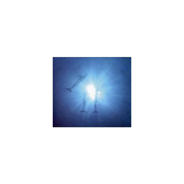 (出演) 小室哲哉 (ジャンル) CD、音楽 邦楽 ロック・ポップス (入荷日) 2024-05-31