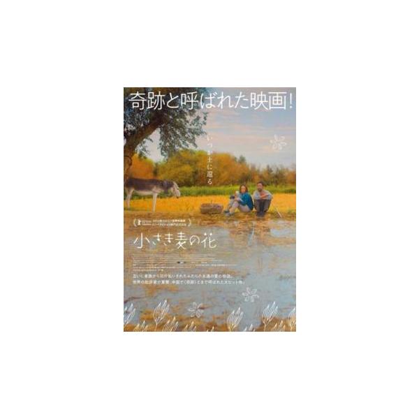 【バーゲン】(監督) リー・ルイジュン (出演) ハイ・チン(クイイン)、ウー・レンリン(ヨウティエ)、ヤン・グァンルイ (ジャンル) 洋画 アジア 中国ドラマ ラブストーリ 人間ドラマ (入荷日) 2024-12-09