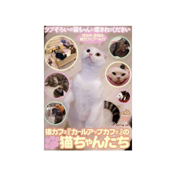 【中古】 猫カフェ「カールアップカフェ」の猫ちゃんたち [レンタル落ち] [DVD]本商品はジャケット(紙)とディスクを不織布に入れて、緩衝材に包んでの発送となります。本商品はレンタル落ち商品になります●ジャケット(紙)・ディスクには、管理...