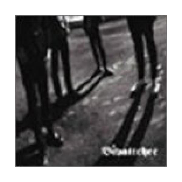 種別:CD SINGLE/シングル発売日:2003/02/21収録曲: / 青春の炎 / 春風 / Let’s Roll / プラスチックモーニング