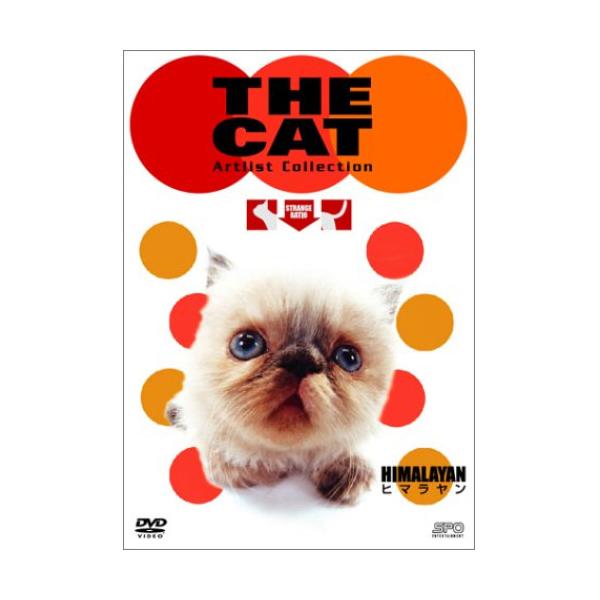 種別:DVD発売日:2003/10/03収録曲:おまけ映像/特別ダイジェスト版