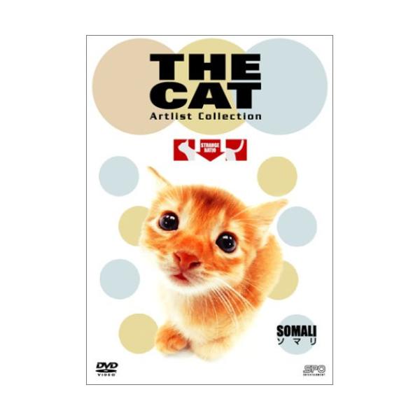 種別:DVD発売日:2003/11/07収録曲:おまけ映像/特別ダイジェスト版