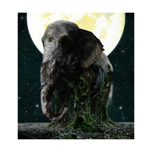 種別:CD/アルバム発売日:2007/01/24収録曲: / Color of Life / FUTURE FUNK / REMEMBER LADY / TYO / 太陽がくれたプレゼント / Stay in my heart / 月 / ...