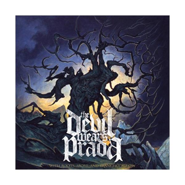 種別:CD/アルバム発売日:2009/07/08収録曲: / SASSAFRAS / I HATE BUFFERING / ASSISTANT TO THE REGIONAL MANAGER / DEZ MOINES / BIG WIGGL...