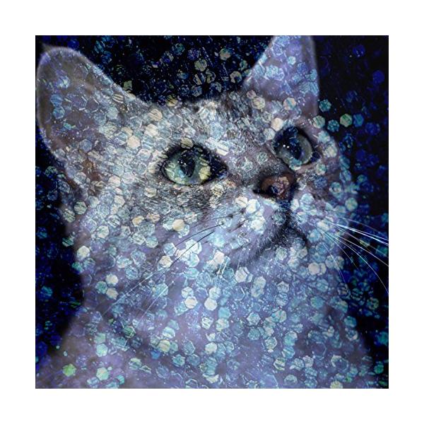 種別:CD/アルバム発売日:2014/09/24収録曲: / Ice Pops / Illumination / Liquid Crystal / Wire Tensioning Method / Pale Spectre  / Sleep...