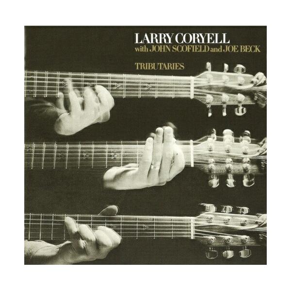 種別:CD/アルバム発売日:2016/04/27収録曲: / ザ・ファイル / マザーズ・デイ / リトル・Bのポエム / 廃墟ジンバブエ / ソロ・オン・ウェンズデイ / サーマン・マンソン / イクイノックス / アルスター・フィールズ