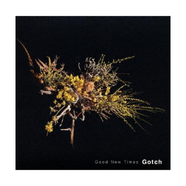 種別:CD/アルバム発売日:2016/09/07収録曲: / Lady In A Movie / Paper Moon / Good New Times / The Sun Is Not Down / Independence Dance ...