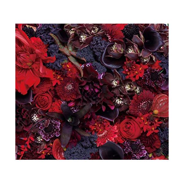 種別:CD/アルバム発売日:2020/03/25収録曲: / Focus / red. / Leaf / DEEP / P.S. / dissolve / Phantom