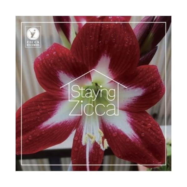 種別:CD/アルバム発売日:2020/10/21収録曲: / All Around Me / Moving Again / Amano-Jack / Cry Like A Baby / I’m Here For You / You &amp...